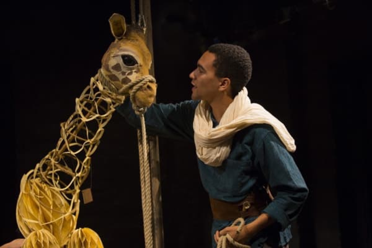 Zeraffa Giraffa, Little Angel Theatre – The Play's The Thing UK